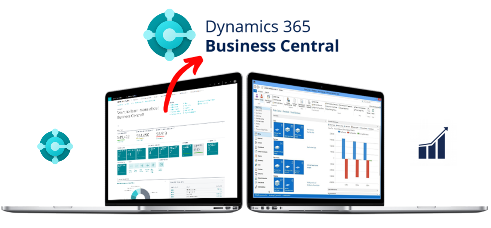 Microsoft Dynamics NAV ERP Services